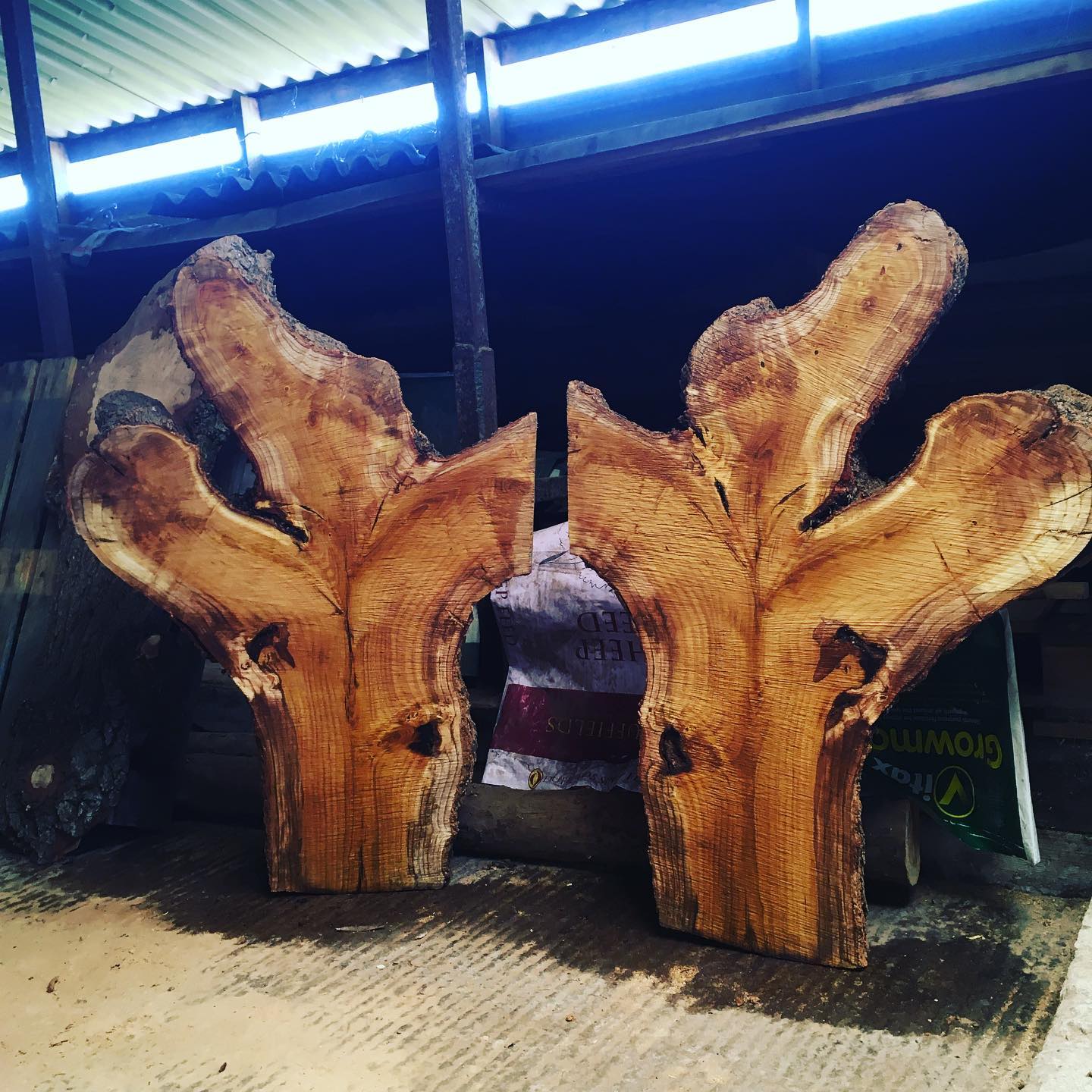 Goodwoods Timber - Small Independent Timber Yard and Sawmill in Dorset